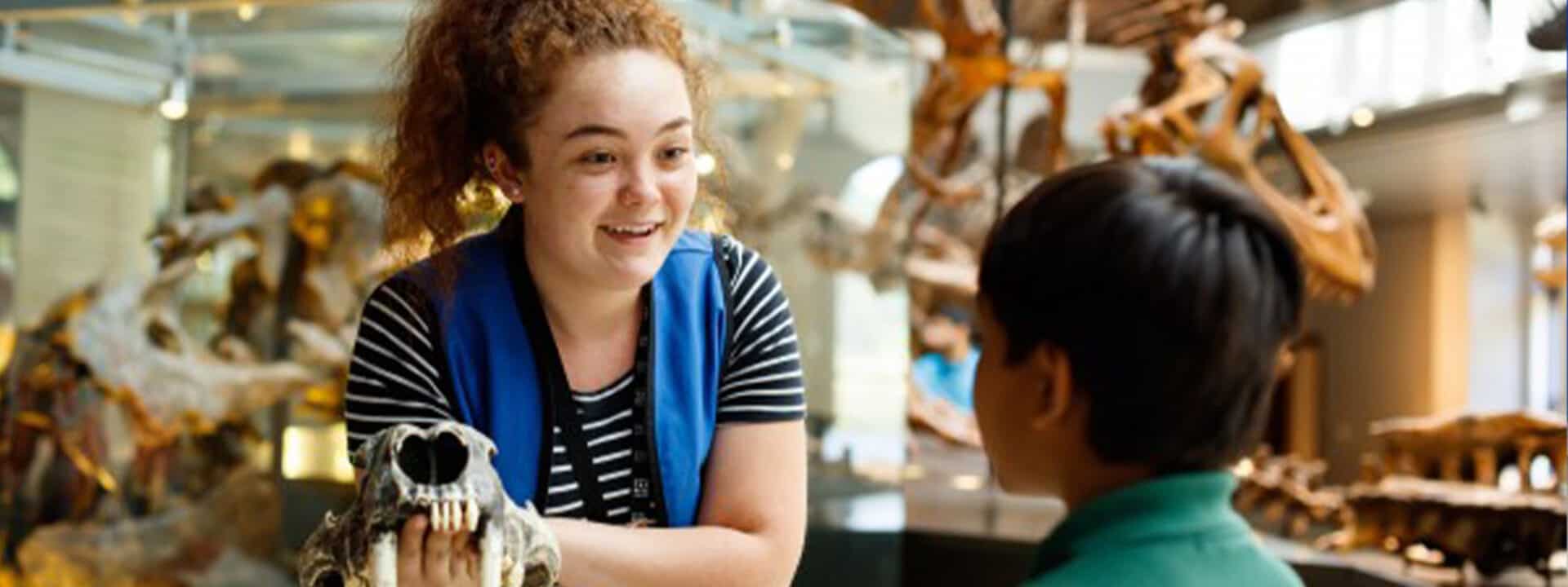 Job Opportunities - San Diego Museum Council