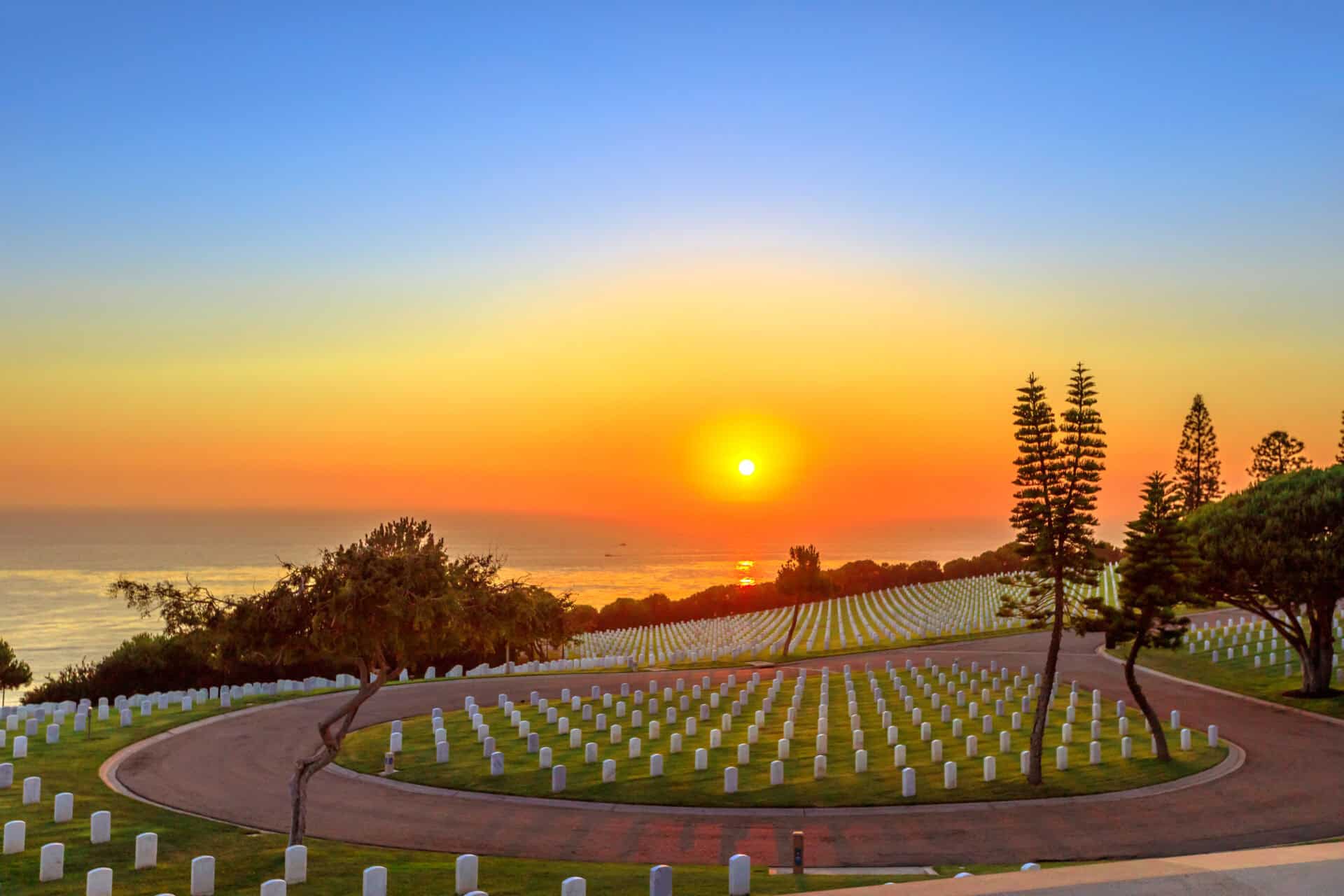 Celebrating Veterans Day with San Diego Museums - San Diego Museum Council